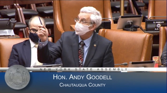 Goodell: Let Cuomo Probe Play Out | News, Sports, Jobs - Post Journal